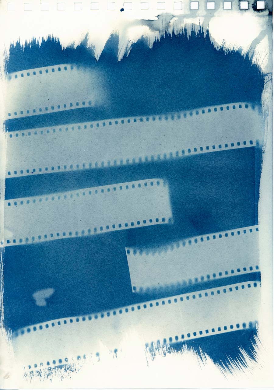 Cianotipia: la alquimia antecesora del revelado