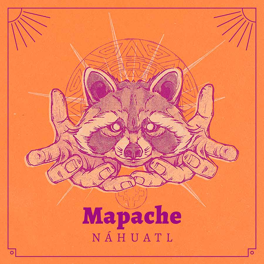 Palabras de origen indígena que usamos en el castellano